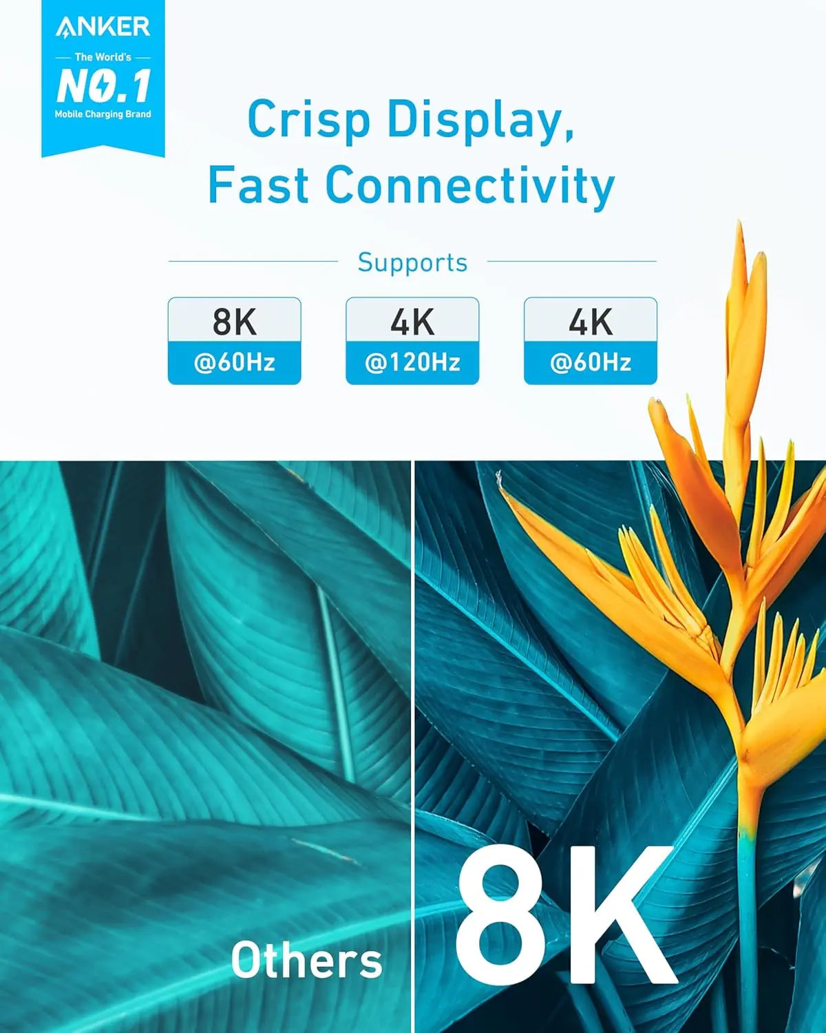 USB Hub Adapter - Anker Singapore